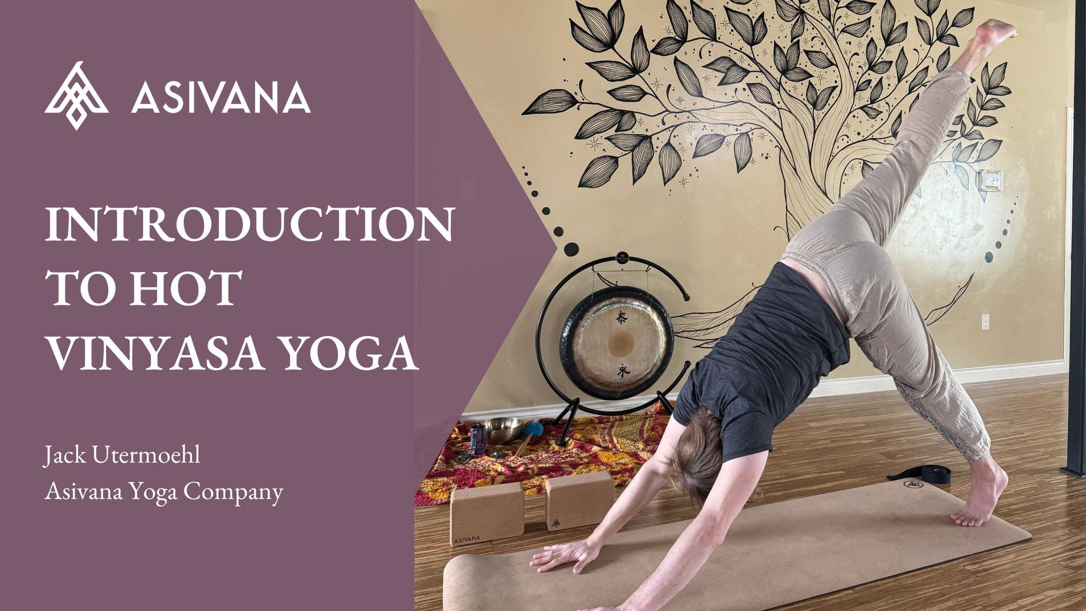 Introduction to Hot Vinyasa Yoga – Asivana Yoga